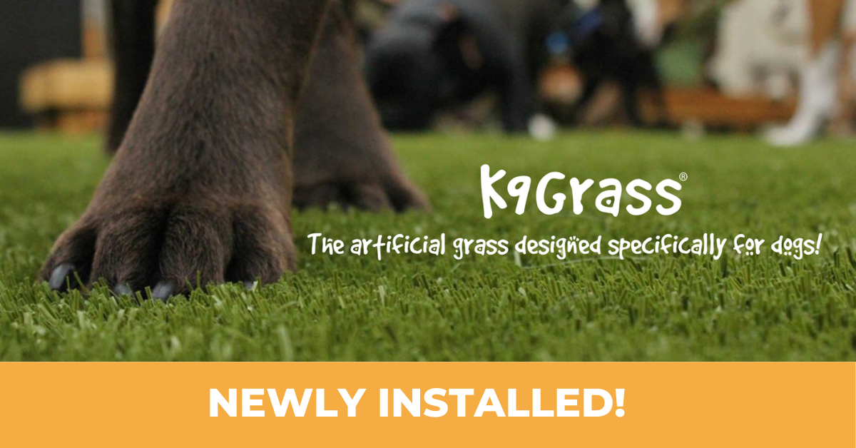K9Grass PlayYard – Kathy Santo Dog Training