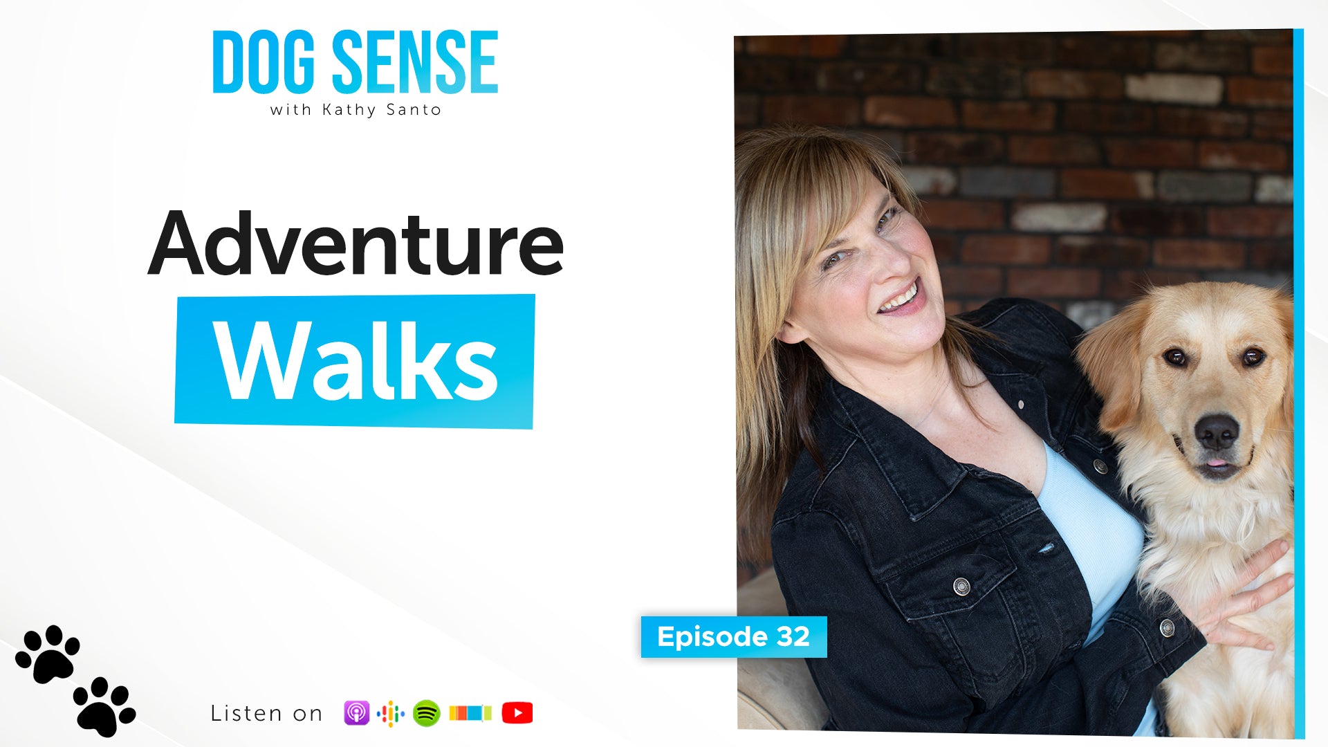 Adventure Walks: The Do's and Dont's of Walking Your Puppy – Kathy ...